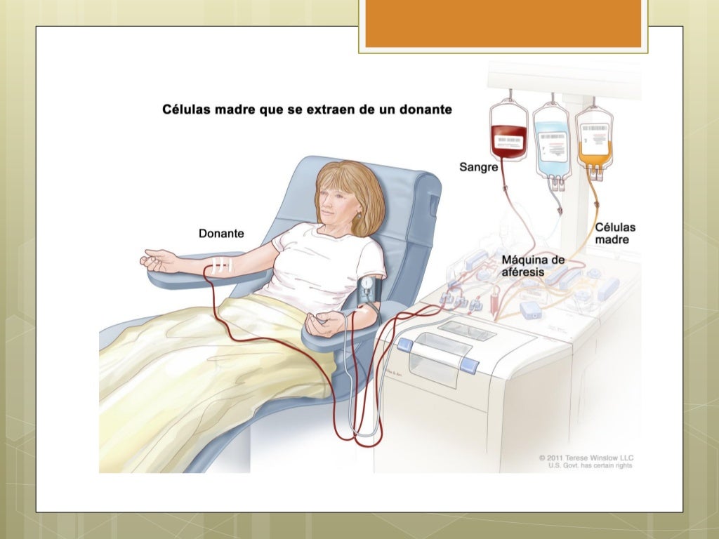 Aferesis en medicina transfusional