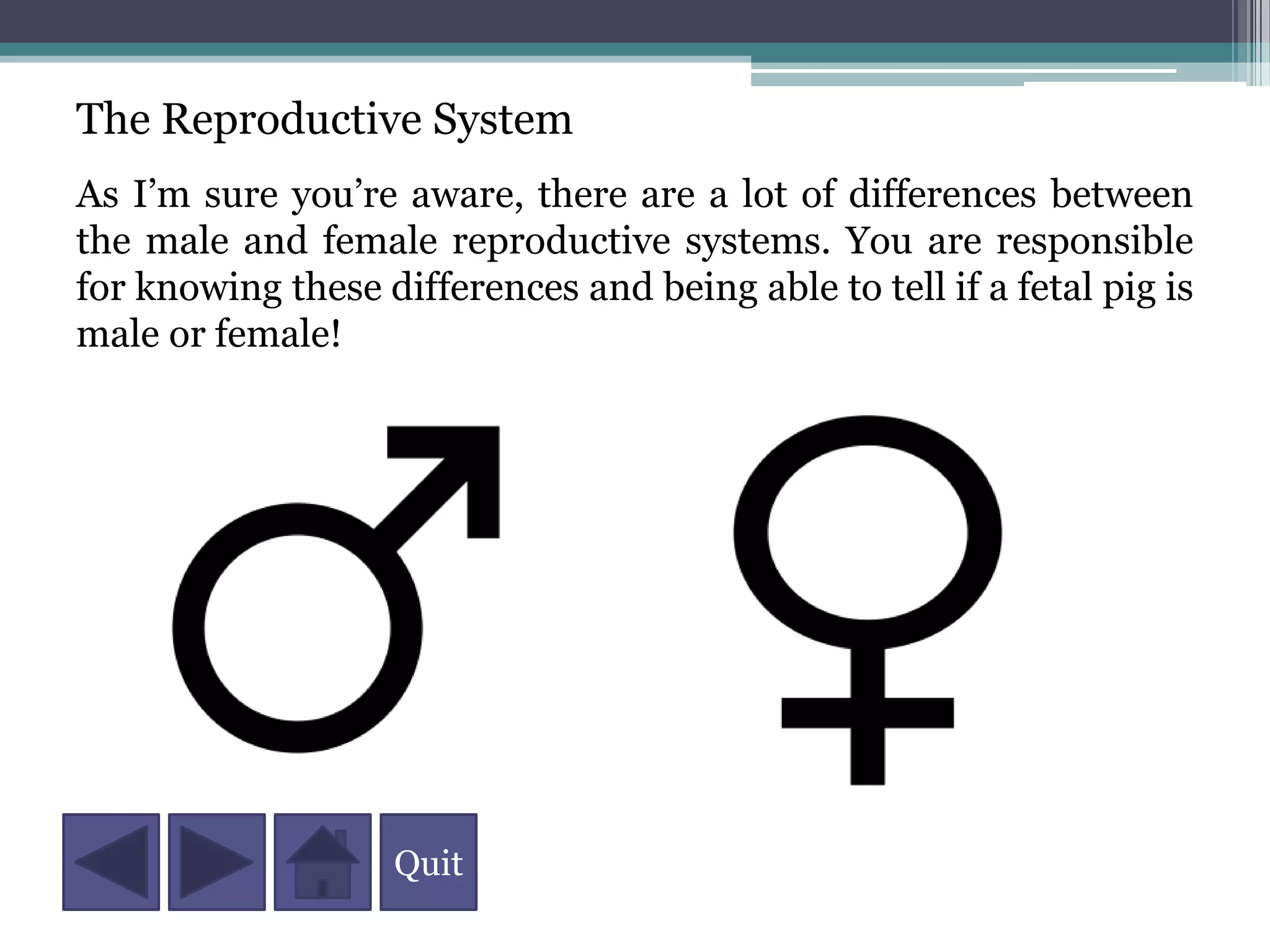 A Fetal Pig Dissection | PPTX