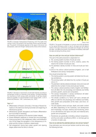 Afewthoughtsongrapevinetrainingsystems june | PDF