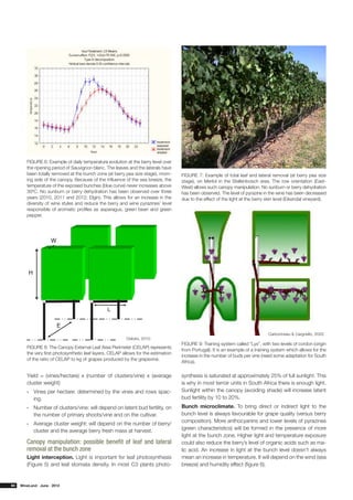 Afewthoughtsongrapevinetrainingsystems june | PDF | Gardening | Home ...