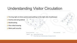 Visitors, Movement, and Circulation in Museums | PPTX