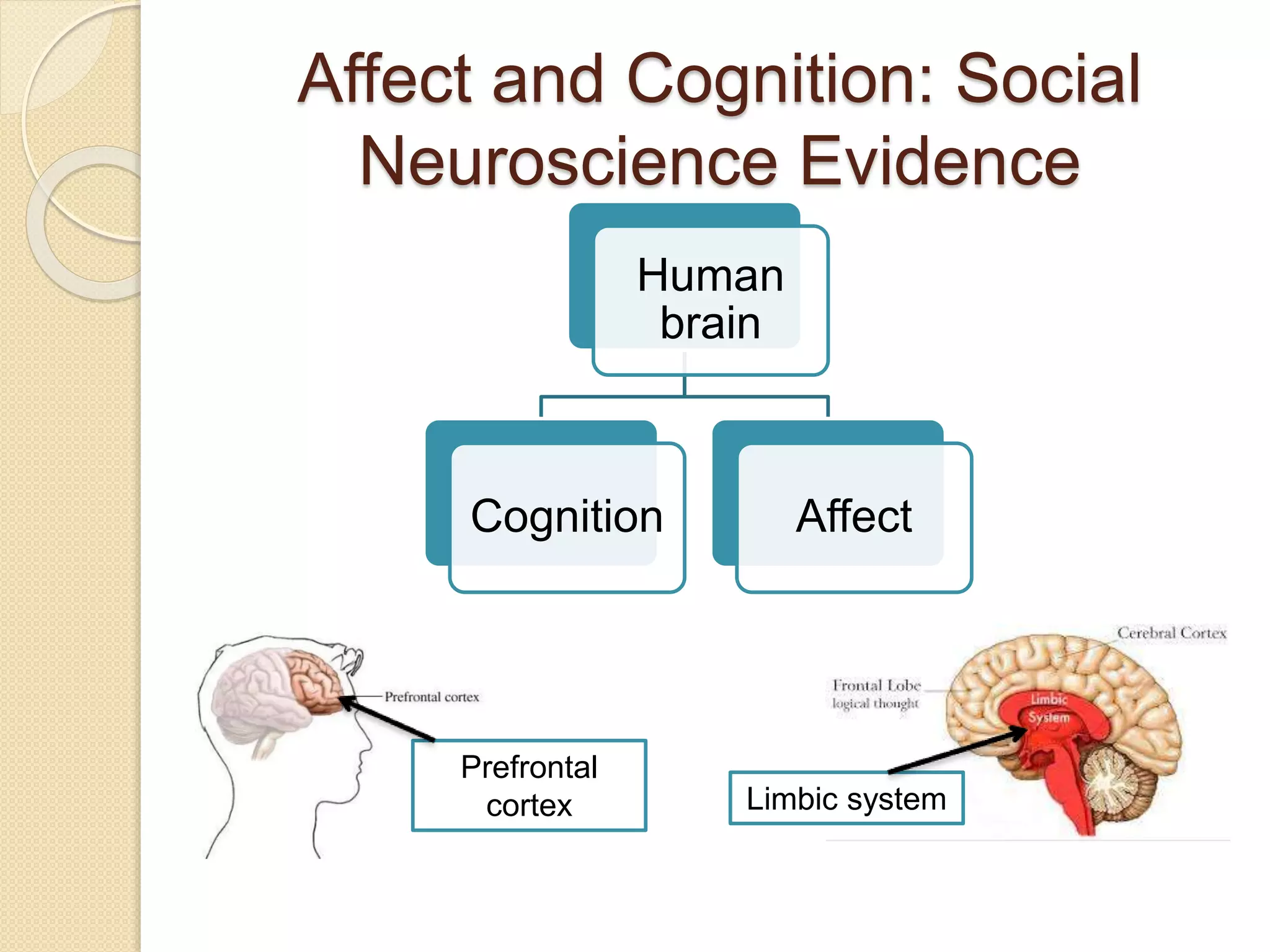 Affect and cognition | PPTX