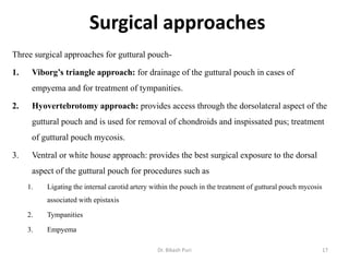 Affection of guttral pouch | PPTX