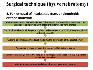 Affection of guttral pouch | PPTX