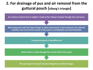 Affection of guttral pouch | PPTX