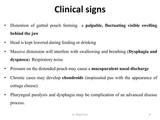 Affection of guttral pouch | PPTX