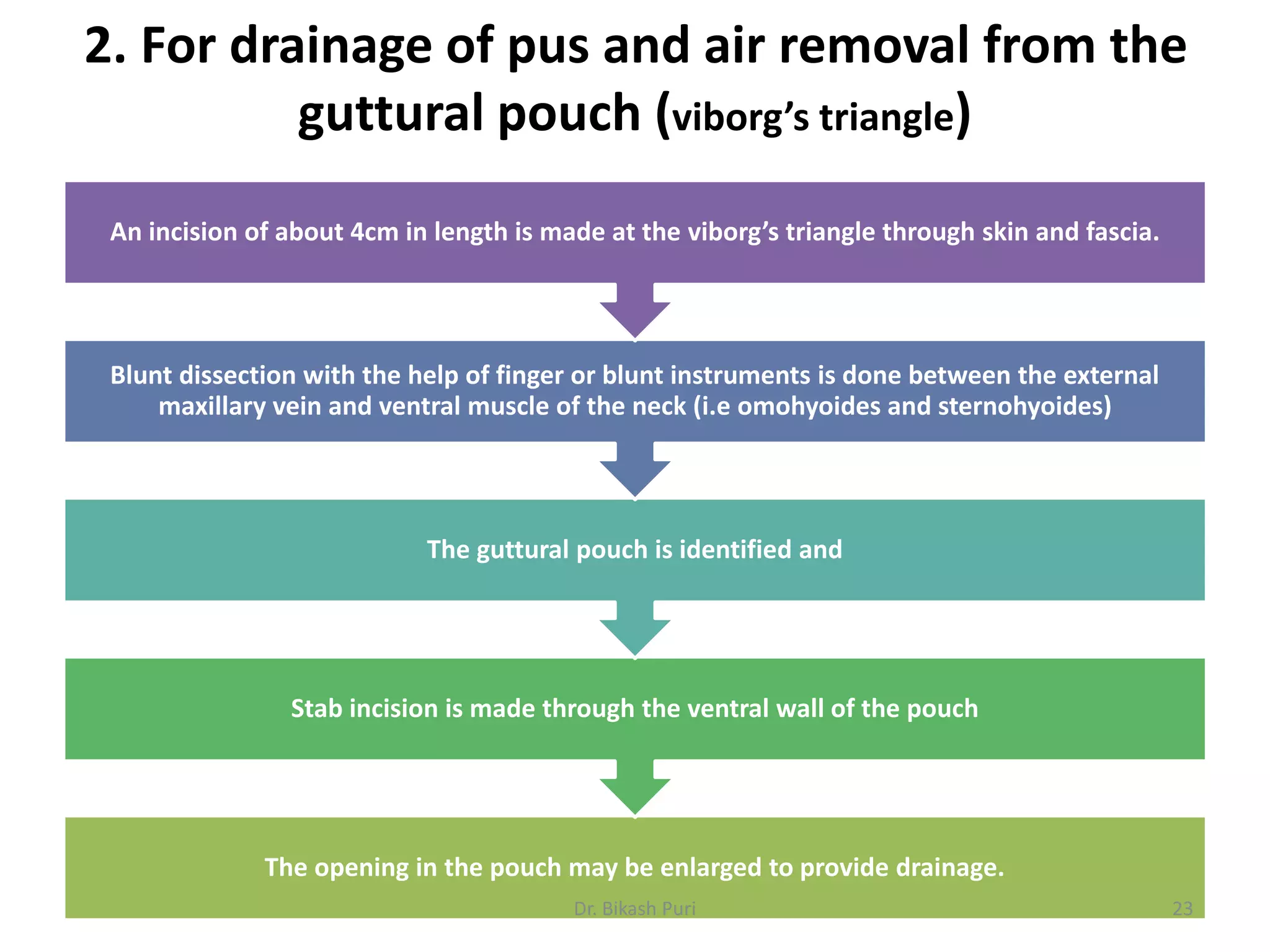 Affection of guttral pouch | PPTX