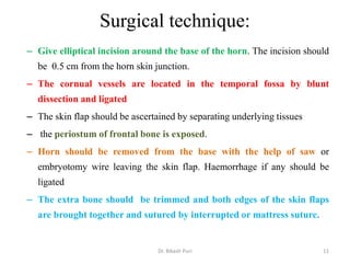 Affection of horn | PPTX