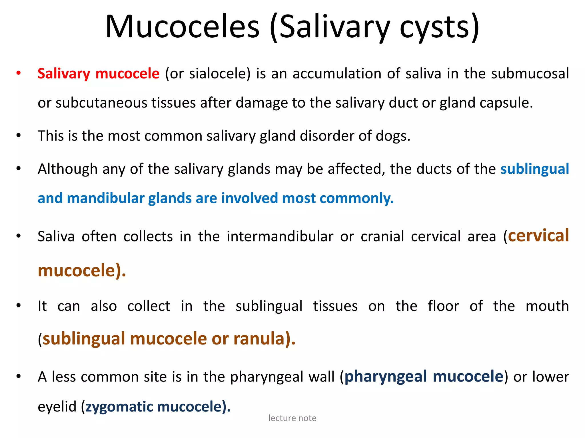 Affection of salivary gland | PPTX