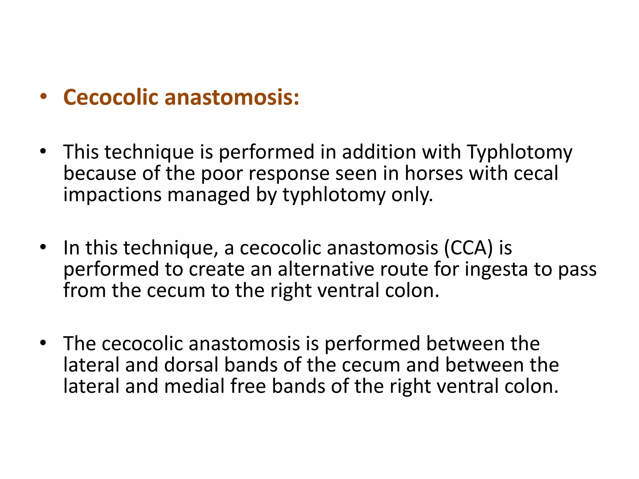 Affections of cecum, colon & rectum (Veterinary) | PPTX