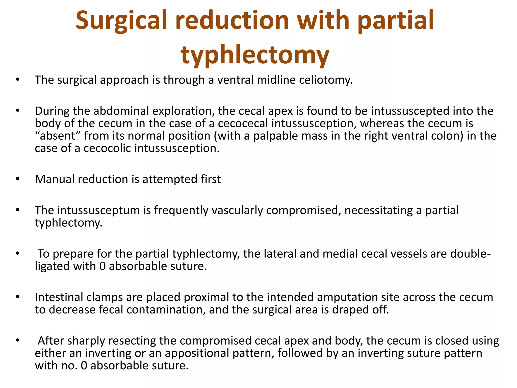 Affections of cecum, colon & rectum (Veterinary) | PPTX