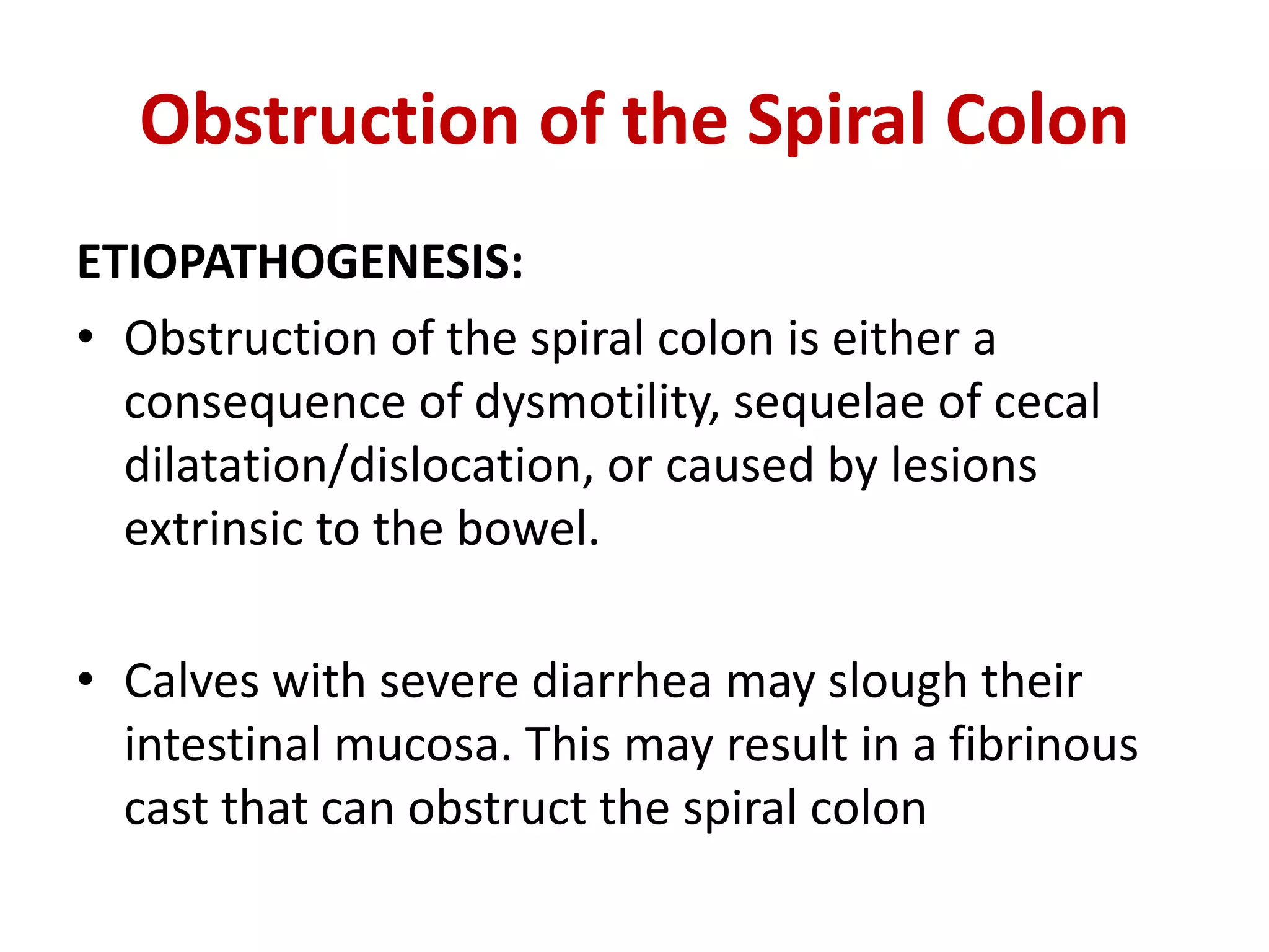 Affections of cecum, colon & rectum (Veterinary) | PPTX