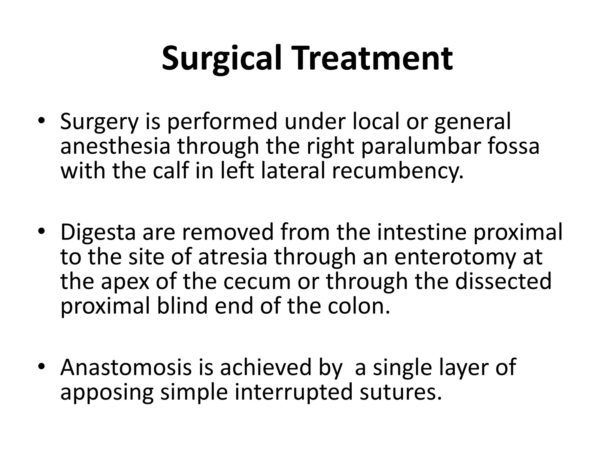 Affections of cecum, colon & rectum (Veterinary) | PPTX