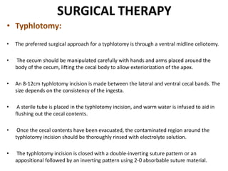 Affections of cecum, colon & rectum (Veterinary) | PPTX