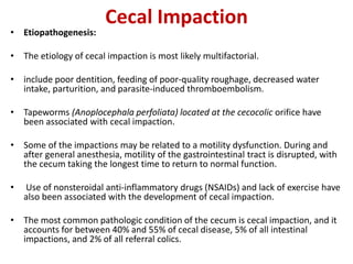 Affections of cecum, colon & rectum (Veterinary) | PPTX