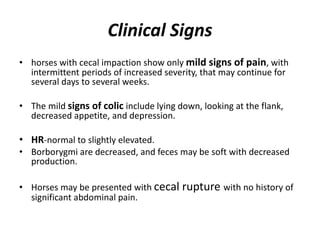 Affections of cecum, colon & rectum (Veterinary) | PPTX