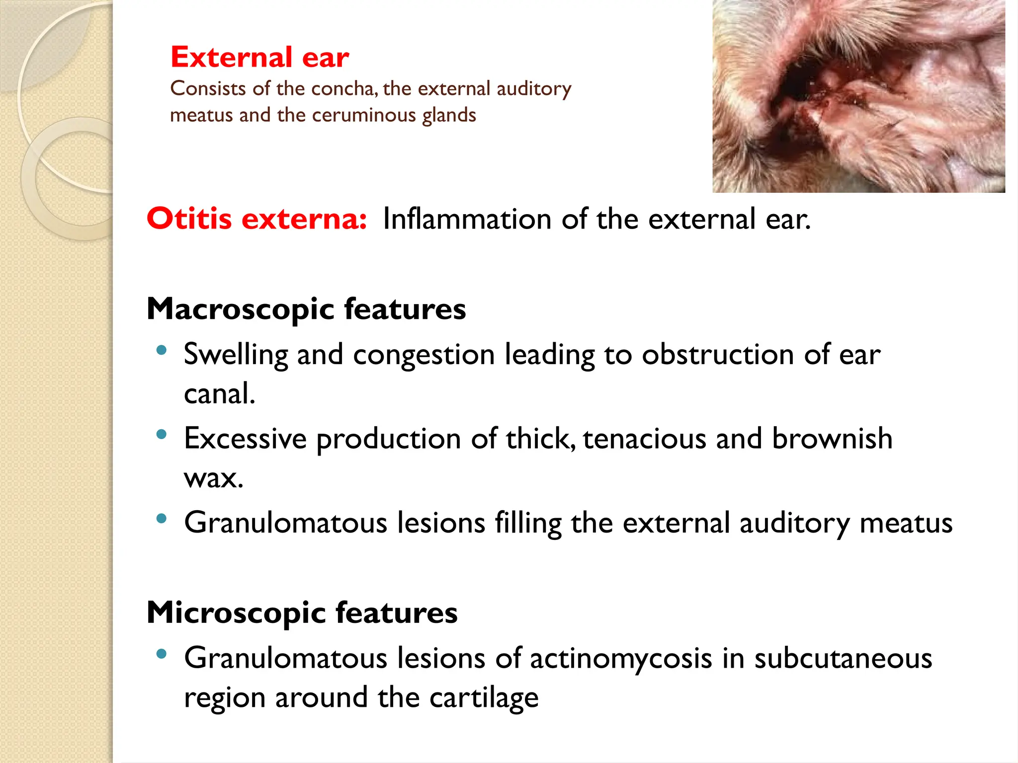 AFFECTIONS_OF_EYE___EAR_BY_DR._SANJIV_KUMAR_- (1).pptx