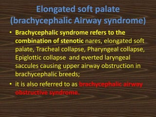 Affections of palate and their surgical management | PPTX