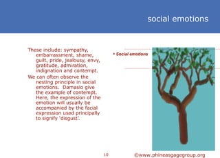 Affect and Legal Education: Emotion in Learning and Teaching the Law | PPT