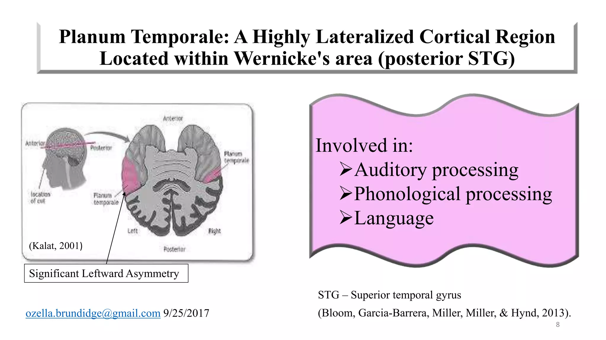Affects of preterm birth on auditory processing | PPTX