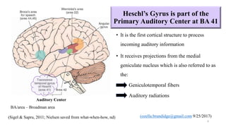 Affects of preterm birth on auditory processing | PPTX