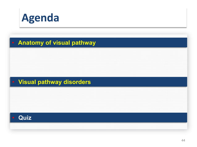 Afferent visual pathway | PDF