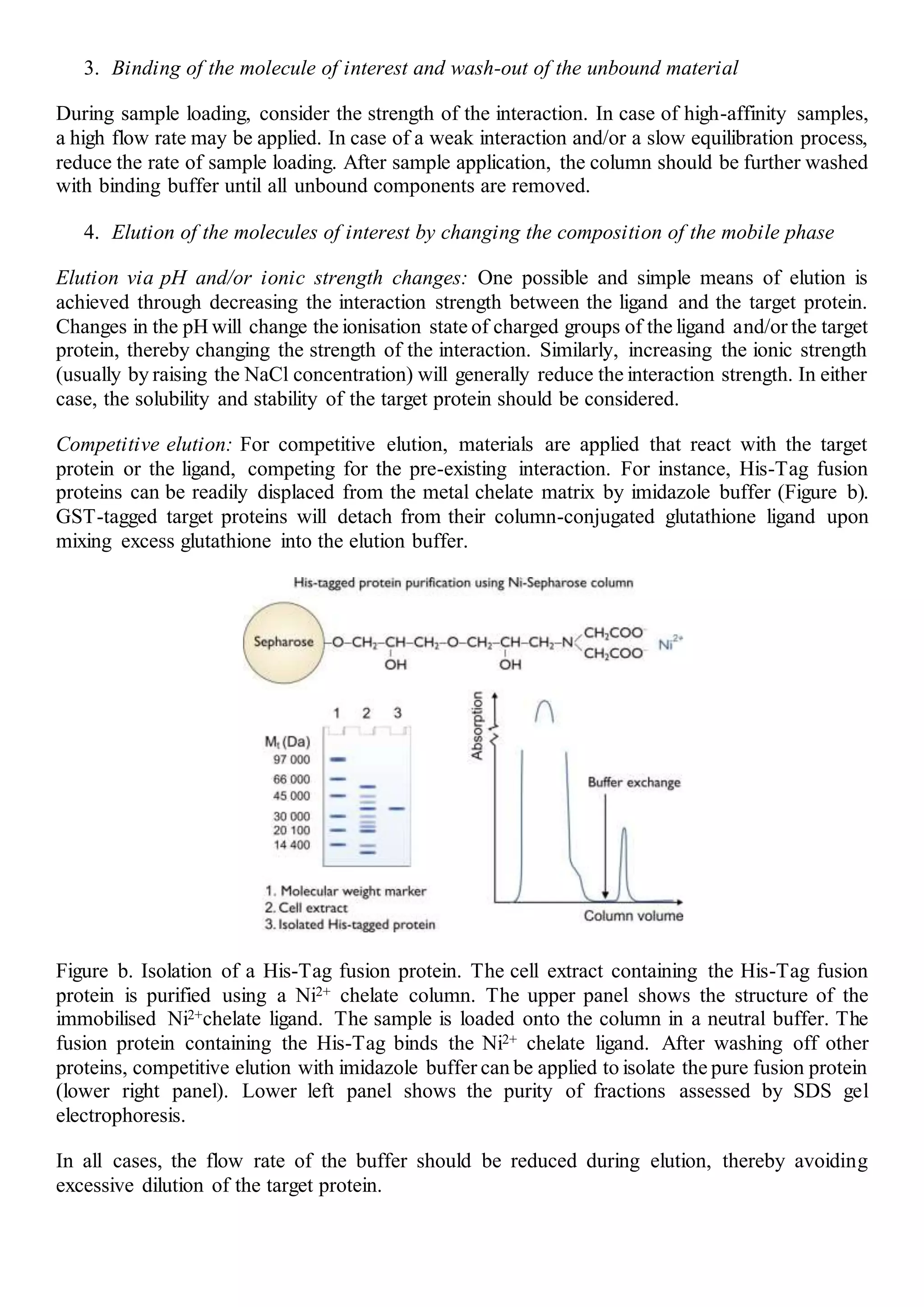 Introduction to Affinity Chromatography | DOCX