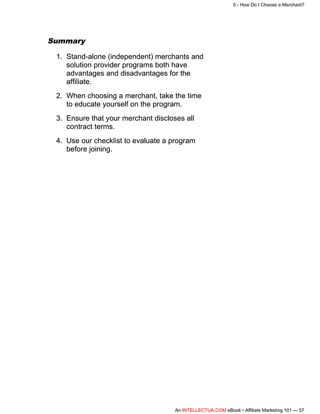 Affiliate marketing 101 | PDF