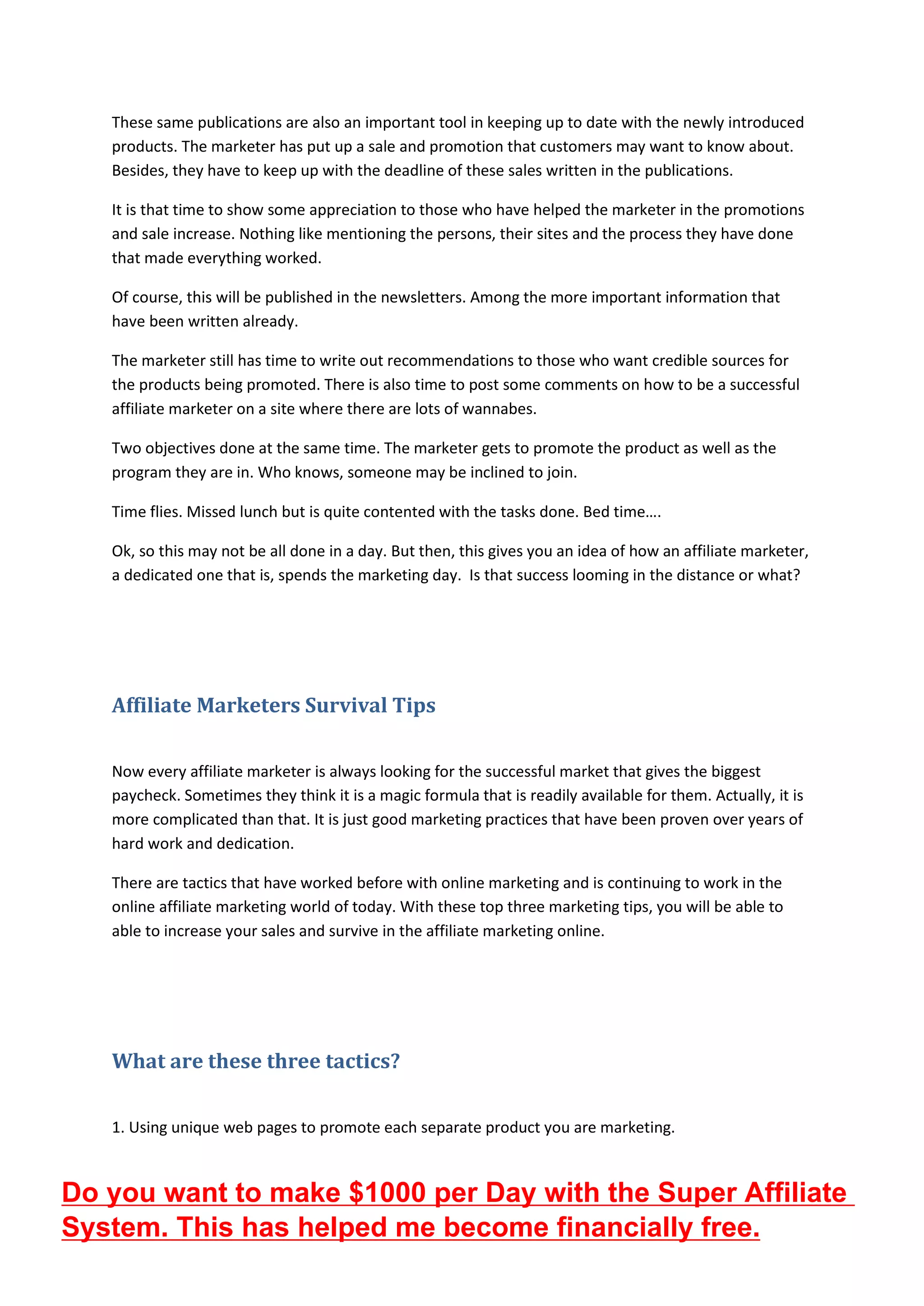 Affiliate Marketing MasterPlan | PDF