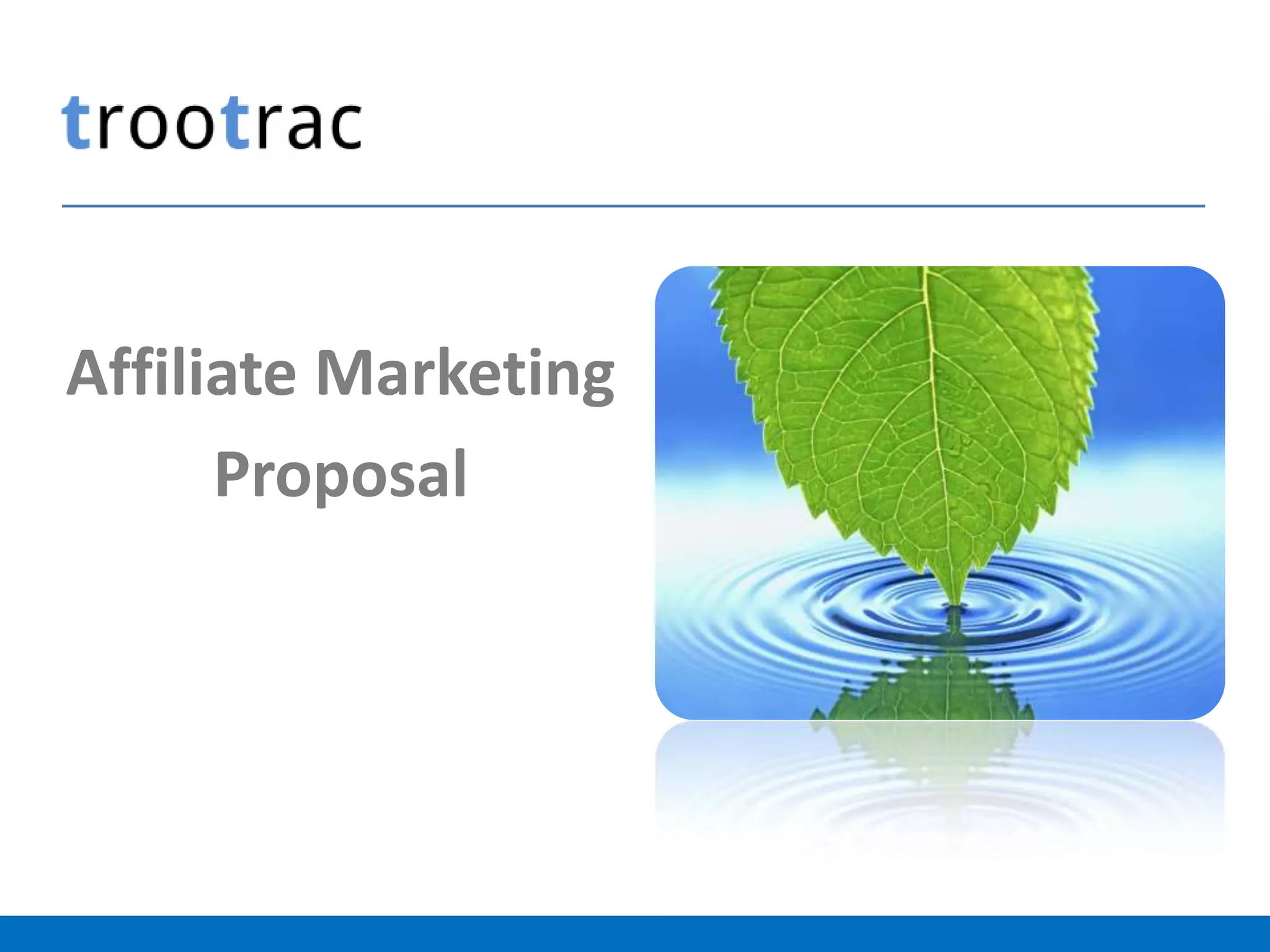 Affiliate marketing proposal | PPT