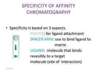 Affinity Chromoatograpy | PPT