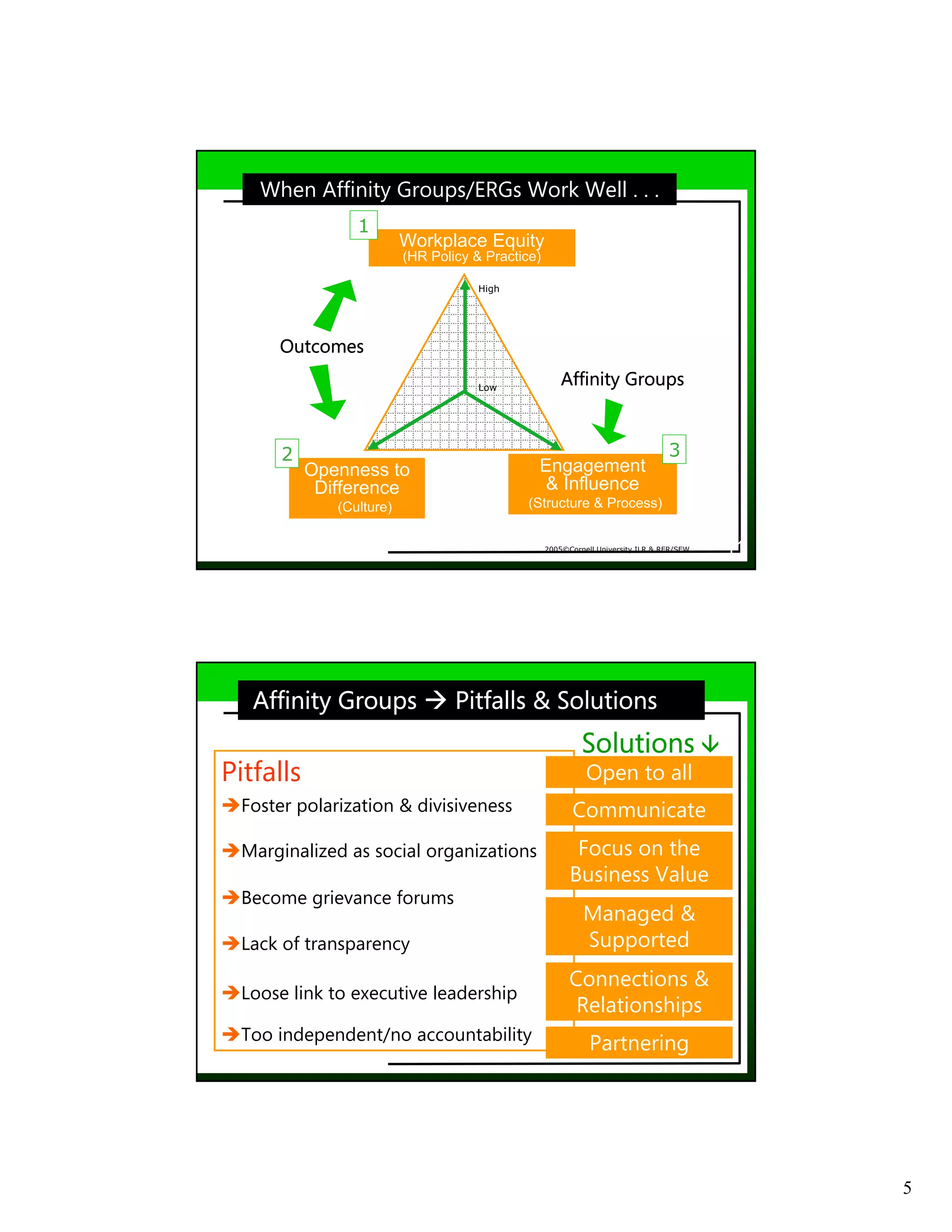 Affinity Groups An Organizational Resource | PDF