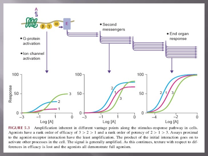 Affinity And Efficacy