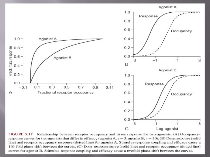 Affinity And Efficacy