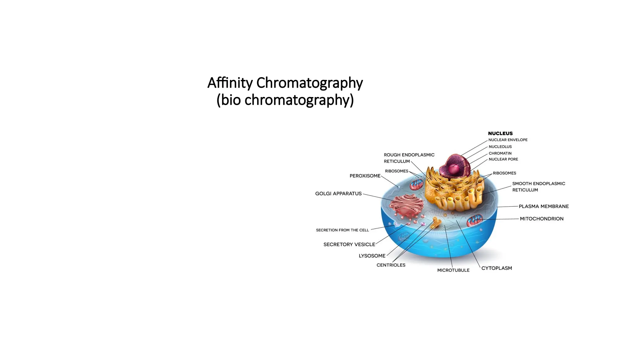 eSTIMATION OF DRUGS BY Affinity Chrom.pptx