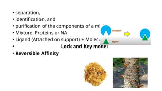 eSTIMATION OF DRUGS BY Affinity Chrom.pptx