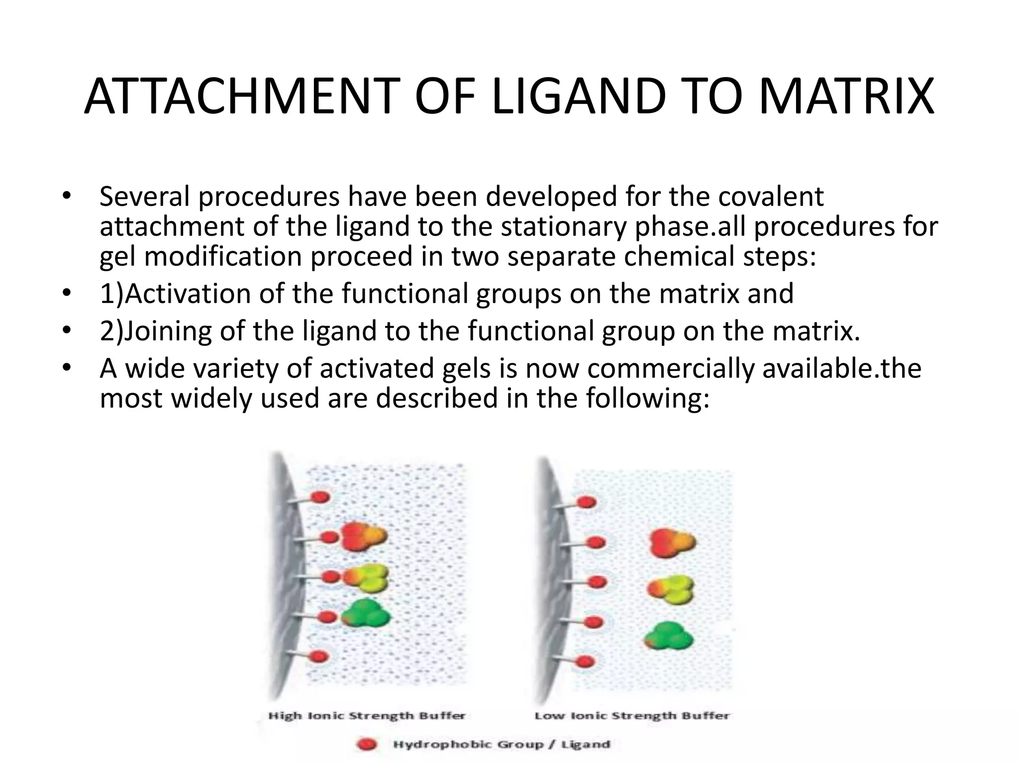 Affinity chromatography ppt | PPTX