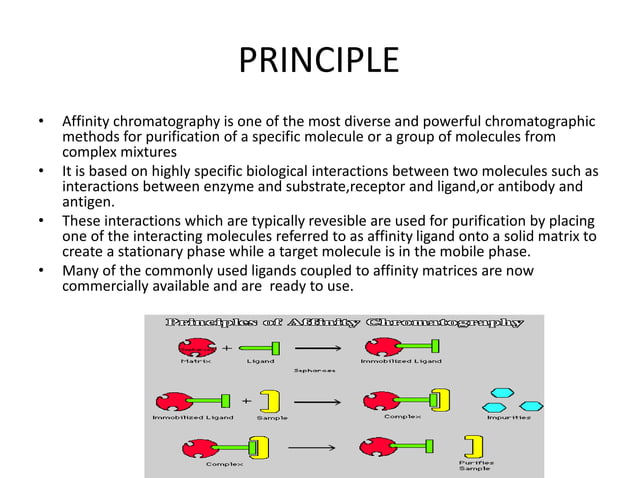 Affinity chromatography ppt | PPTX | Chemistry | Science