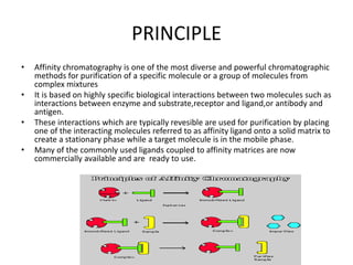 affinitychromatography-140405133125-phpapp02 (1).pdf