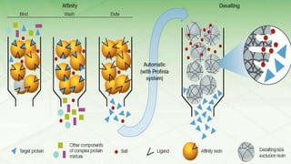 Affinity chromatography | PPT