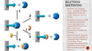 Affinity chromatography | PPTX