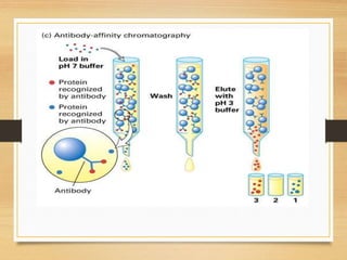Affinity chromatography | PPTX