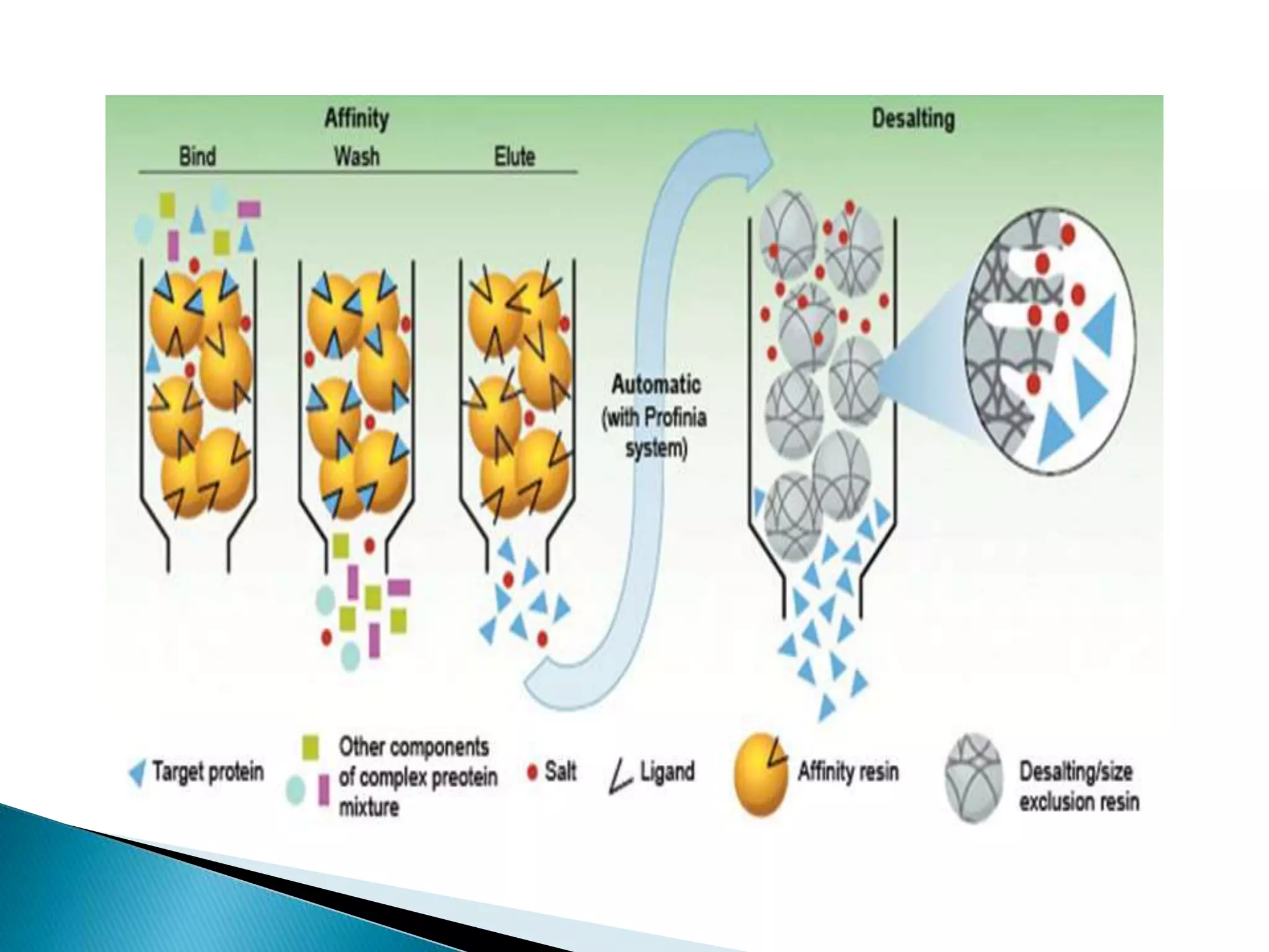 Affinity chromatography | PPTX