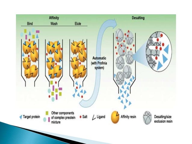 Affinity chromatography | PPTX