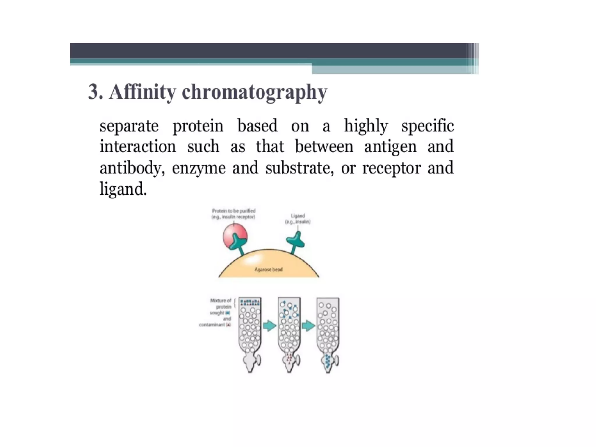 Affinity chromatography | PPT