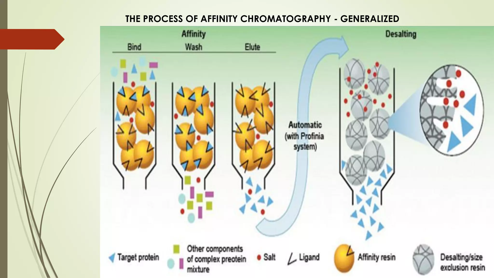 Affinity Chromatography | PDF