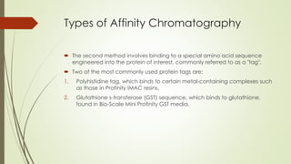 Affinity Chromatography | PDF
