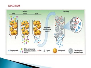 Affinity Chromatography.pptx | Chemistry | Science