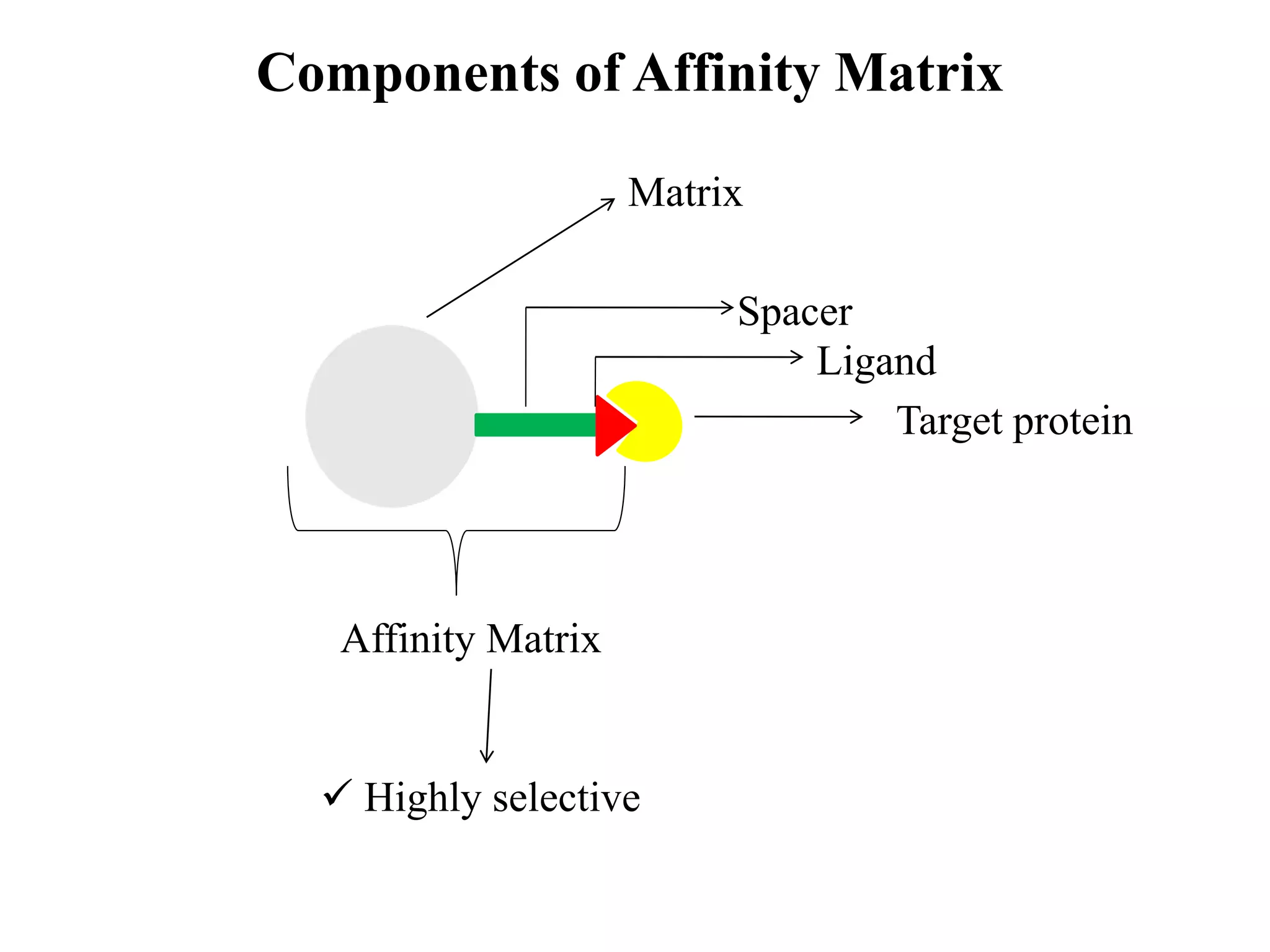 AFFINITY chromatography.pptx