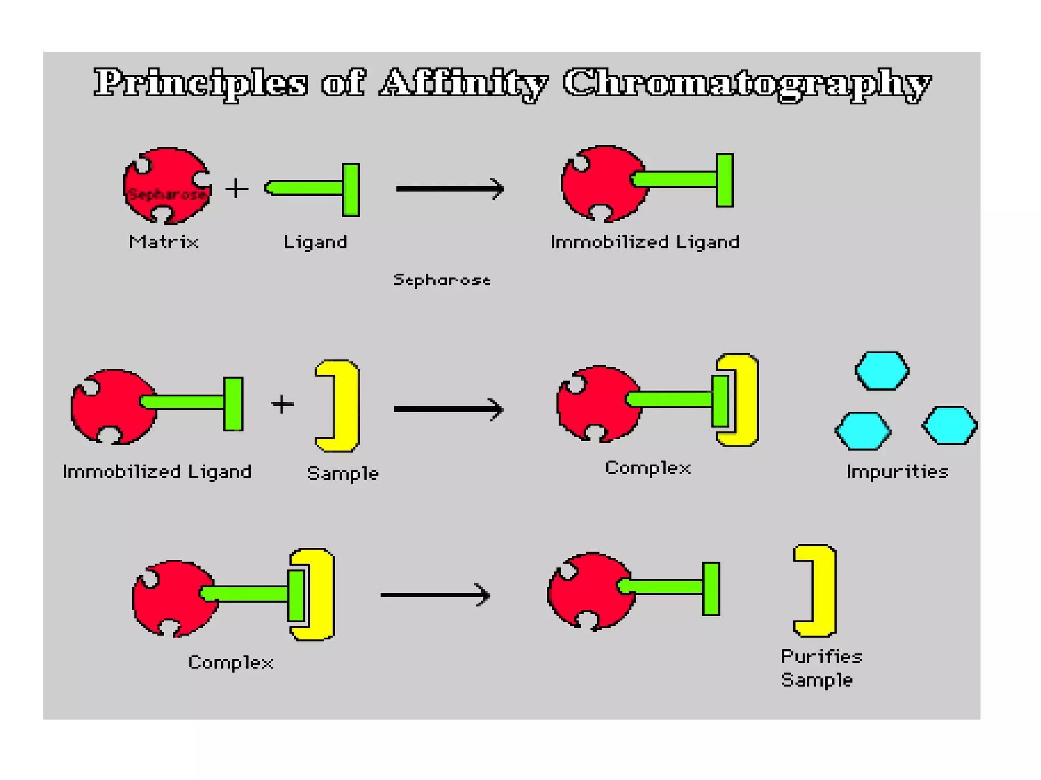 Affinity Chromatography.pptx